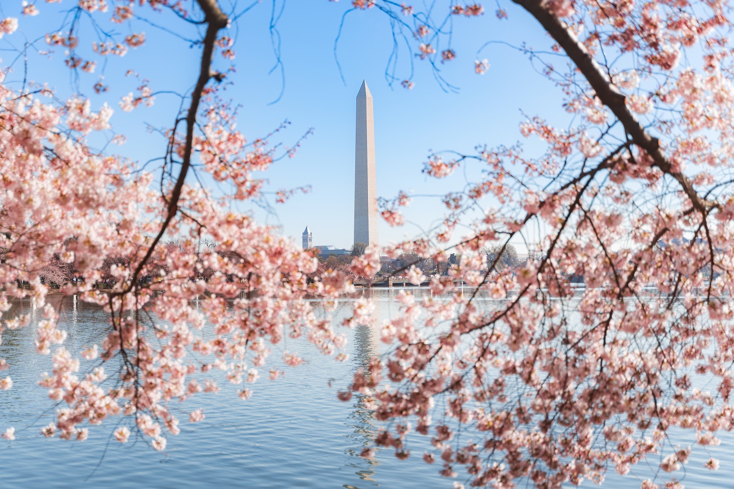 Capital Region USA feiert den Frühling - KARIBIKGUIDE