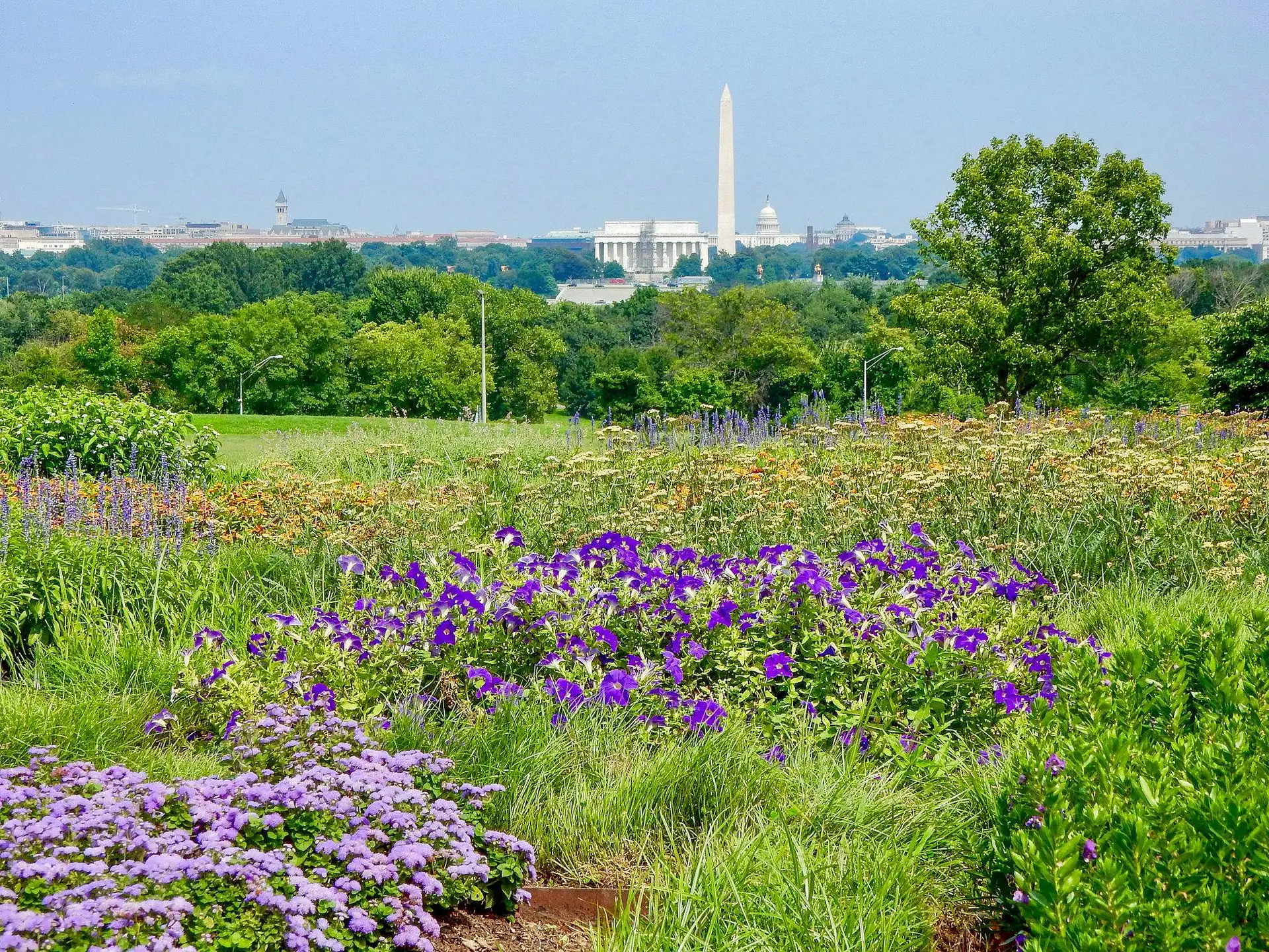 Washington, DC: Die grünste Stadt der USA - KARIBIKGUIDE